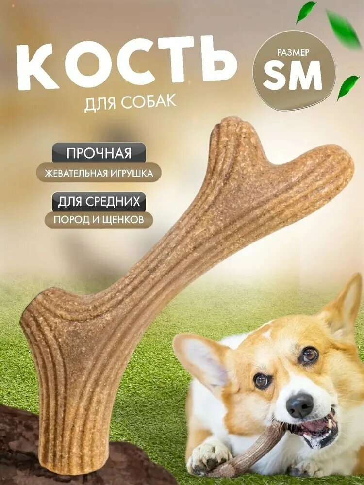 Игрушка для животных Деревянная пластиковая игрушка для прорезывания зубов