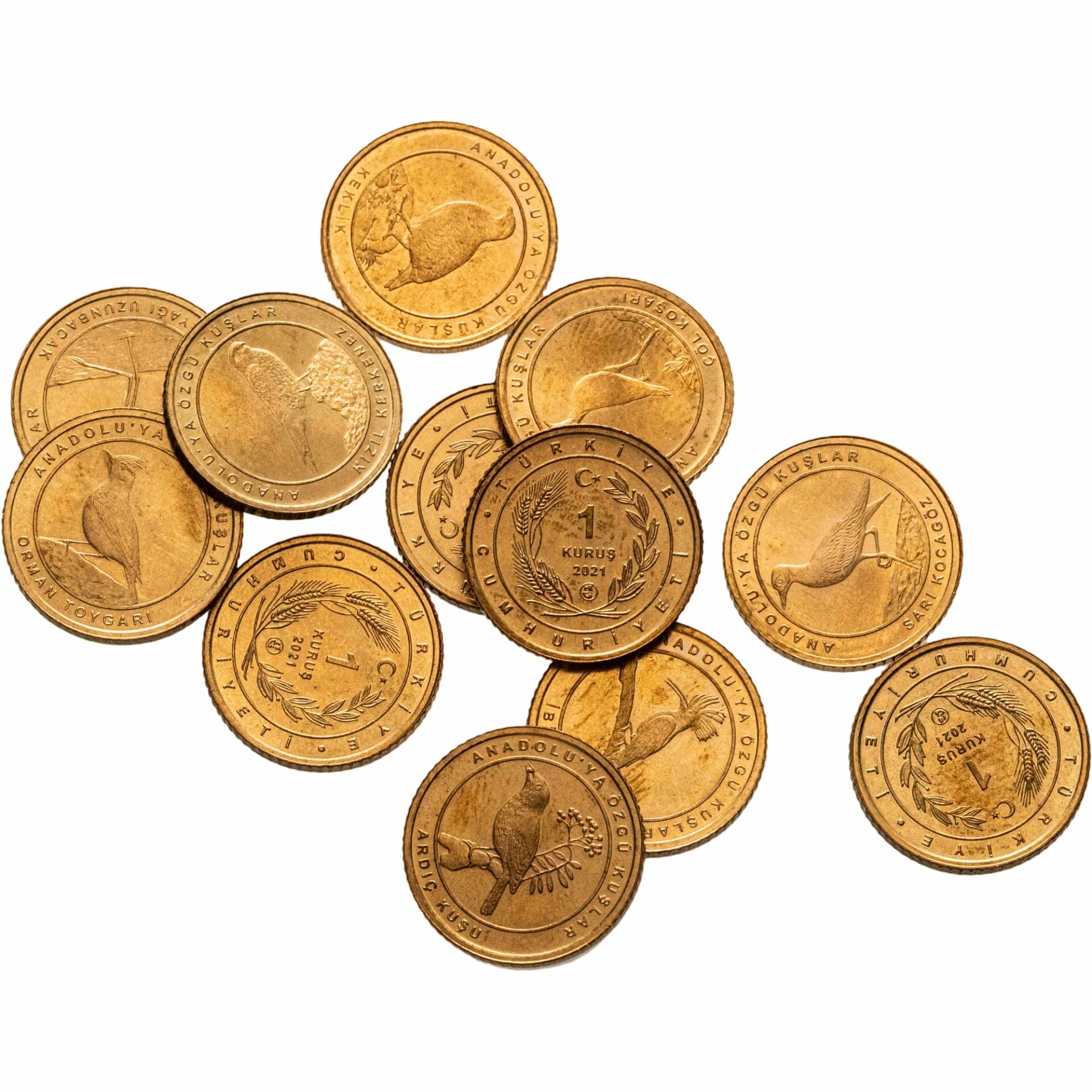Турция набор из 12 монет 1 куруш 2021 Фауна - Птицы, Бронза, в сохранности AU-UNC