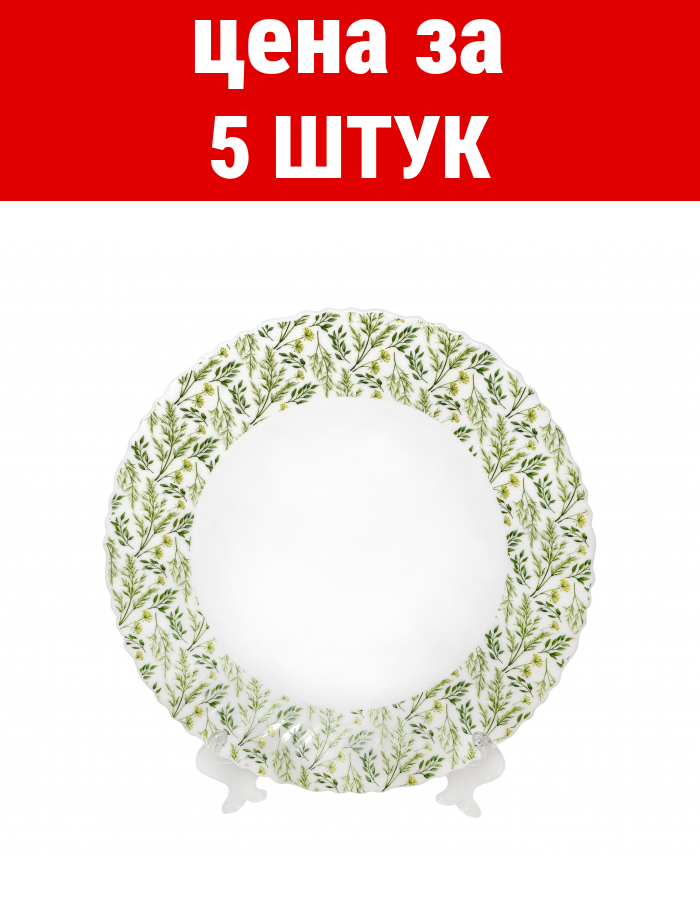 Комплект 5 шт, тарелка стеклокерамика обед утро 24СМ МФК матрица