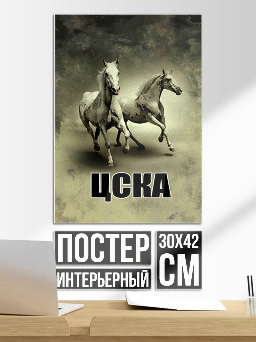 Постер на стену ЦСКА