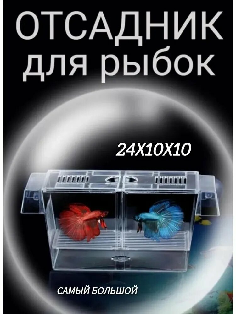 (Е2) Отсадник для мальков и рыб. Большой 24х10х10см