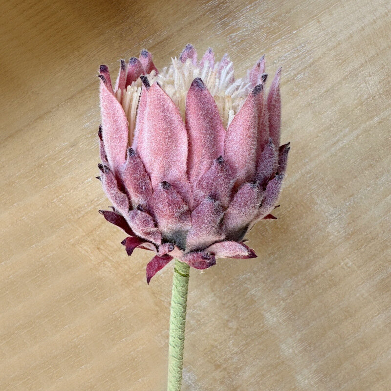 Имперский цветок, искусственный цветок, одиночная ветка, нордический чертополох, простое домашнее украшение, свадебный декор, имперский цветок, кросс-бордер, искусственный цветок