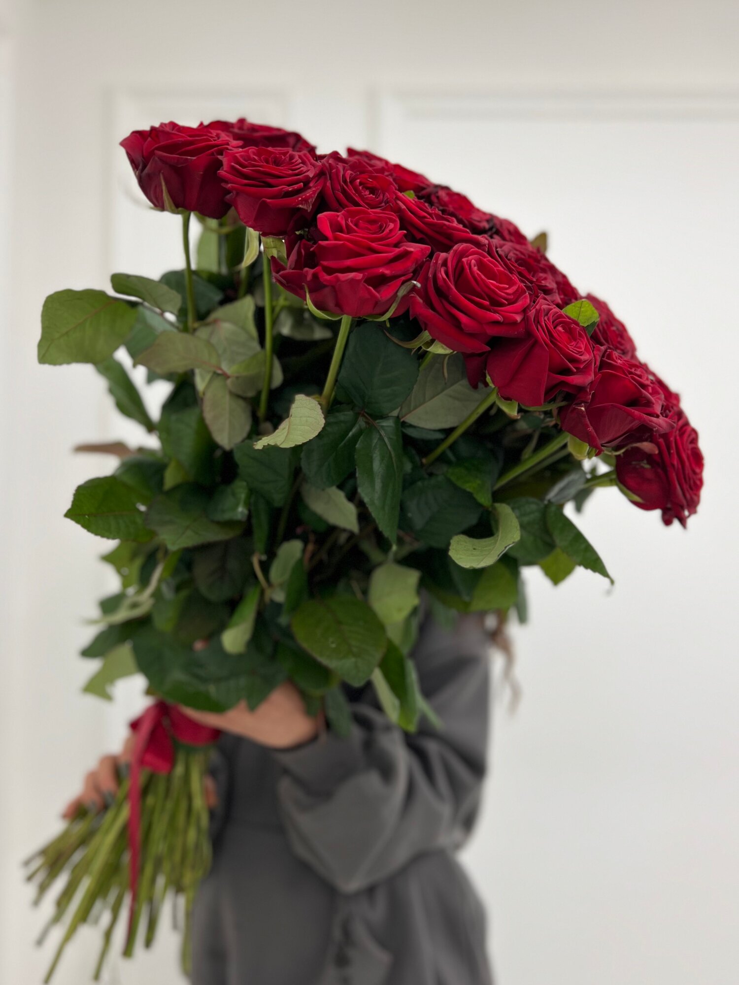 Гламелия цветы «Королевский бархат»: 51 роза Red Naomi с лентой – купить свежие цветы с доставкой в Москве