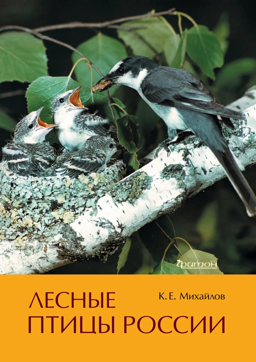 Лесные птицы России [Цифровая книга]