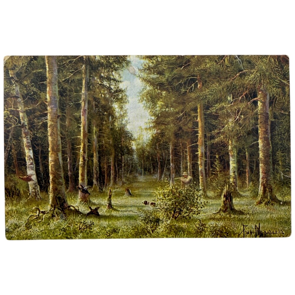Почтовая открытка "Охота на тетеревов" 1900-1910 гг. G. m. b. H, Германская Империя