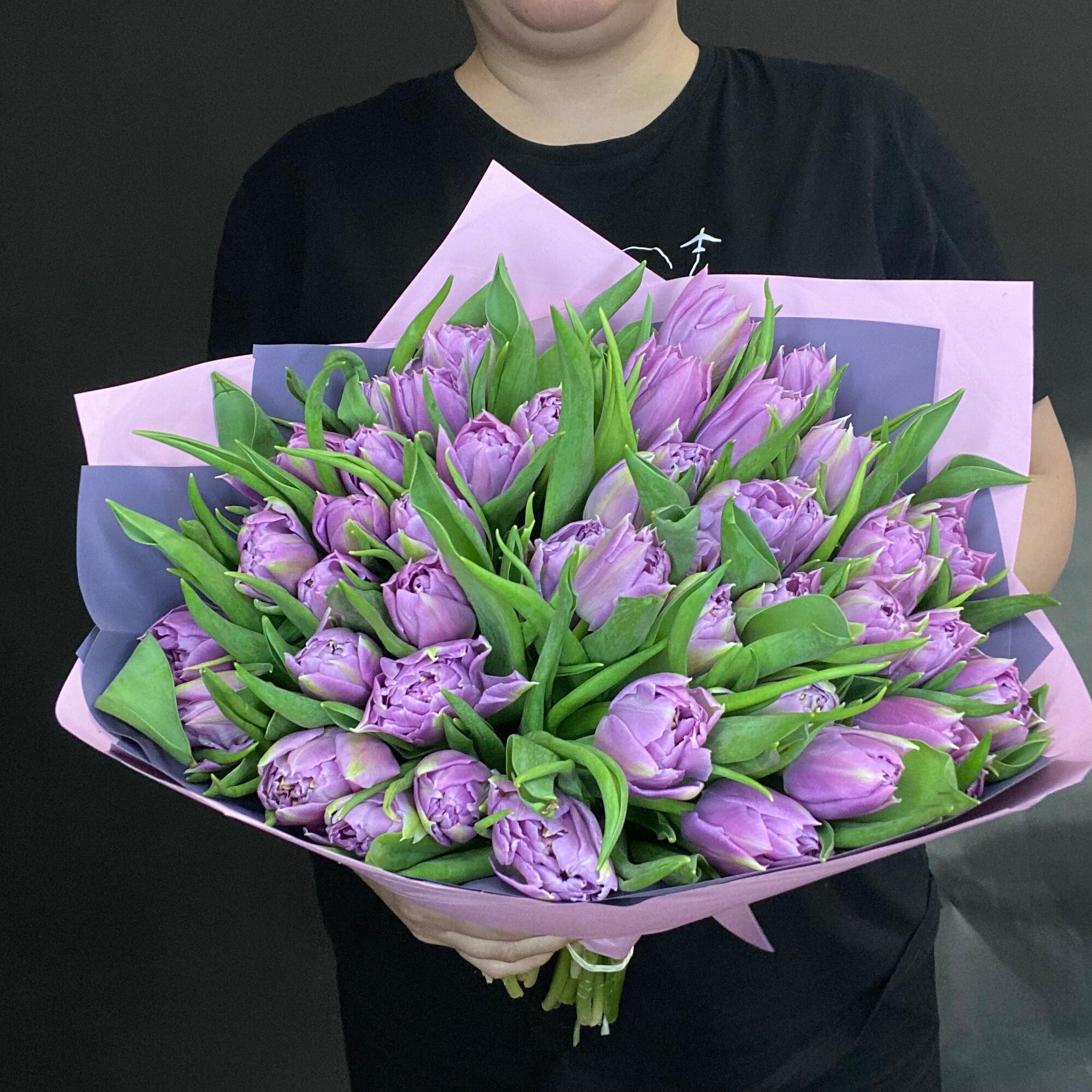 Фиолетовые тюльпаны