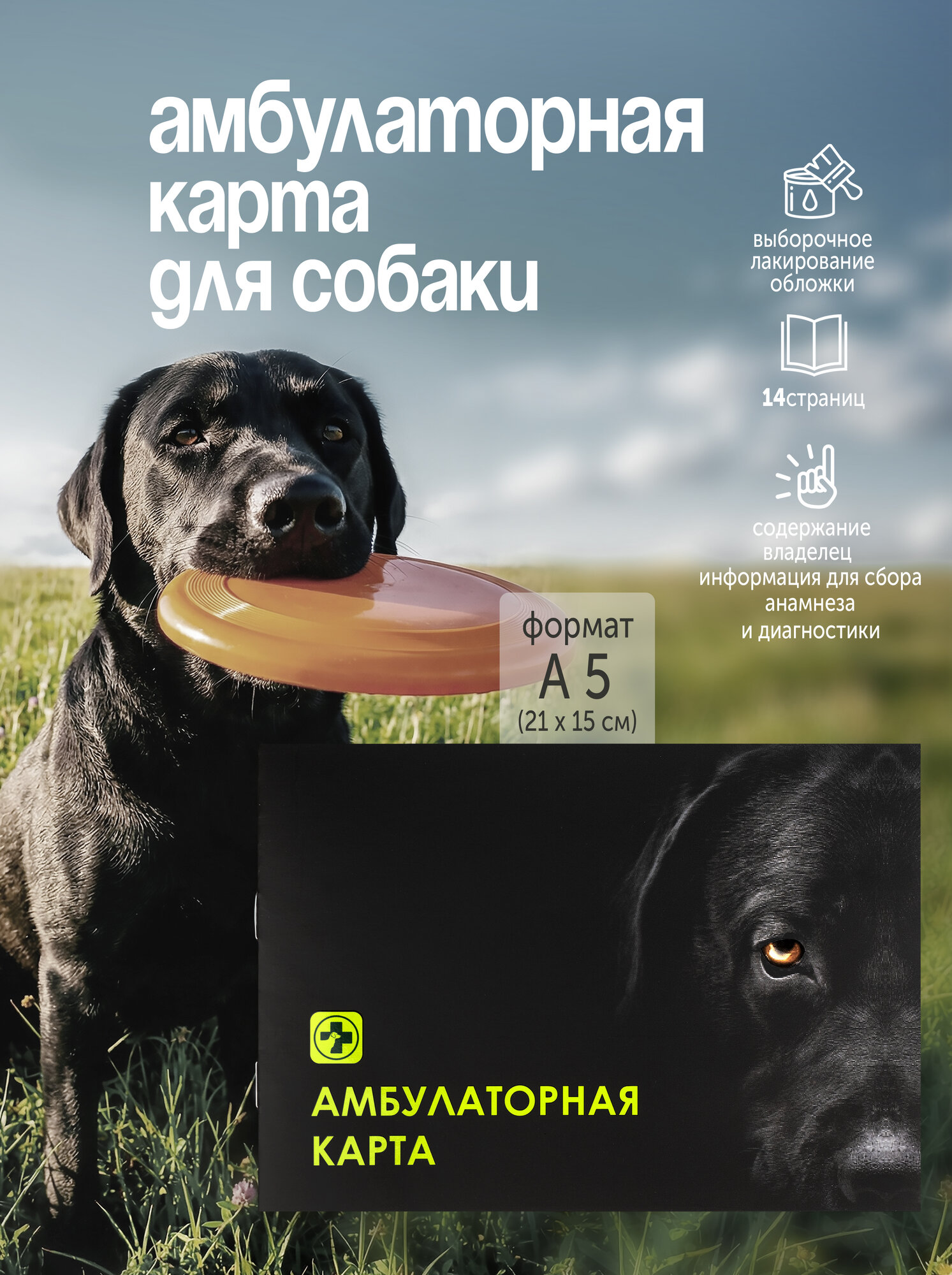 Амбулаторная Карта для собак, черная, 21 см x 15 см, ZooMoDa