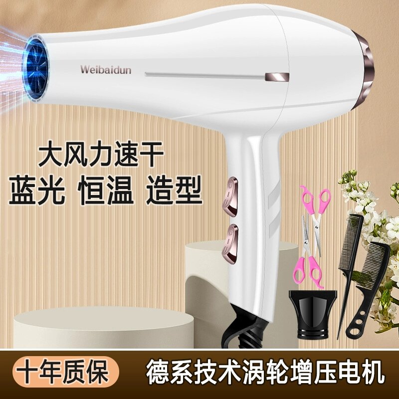 Немецкий мощный фен для дома, парикмахерская, парикмахерская, синий свет, отрицательные ионы, уход за волосами,