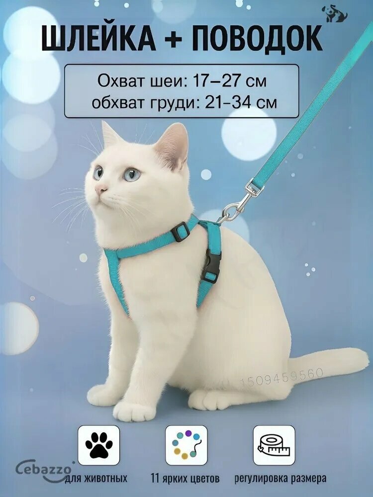 Шлейка