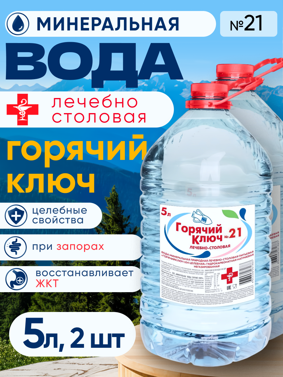 Лечебно-столовая природная минеральная вода "Горячий ключ" 2 шт по 5 литров