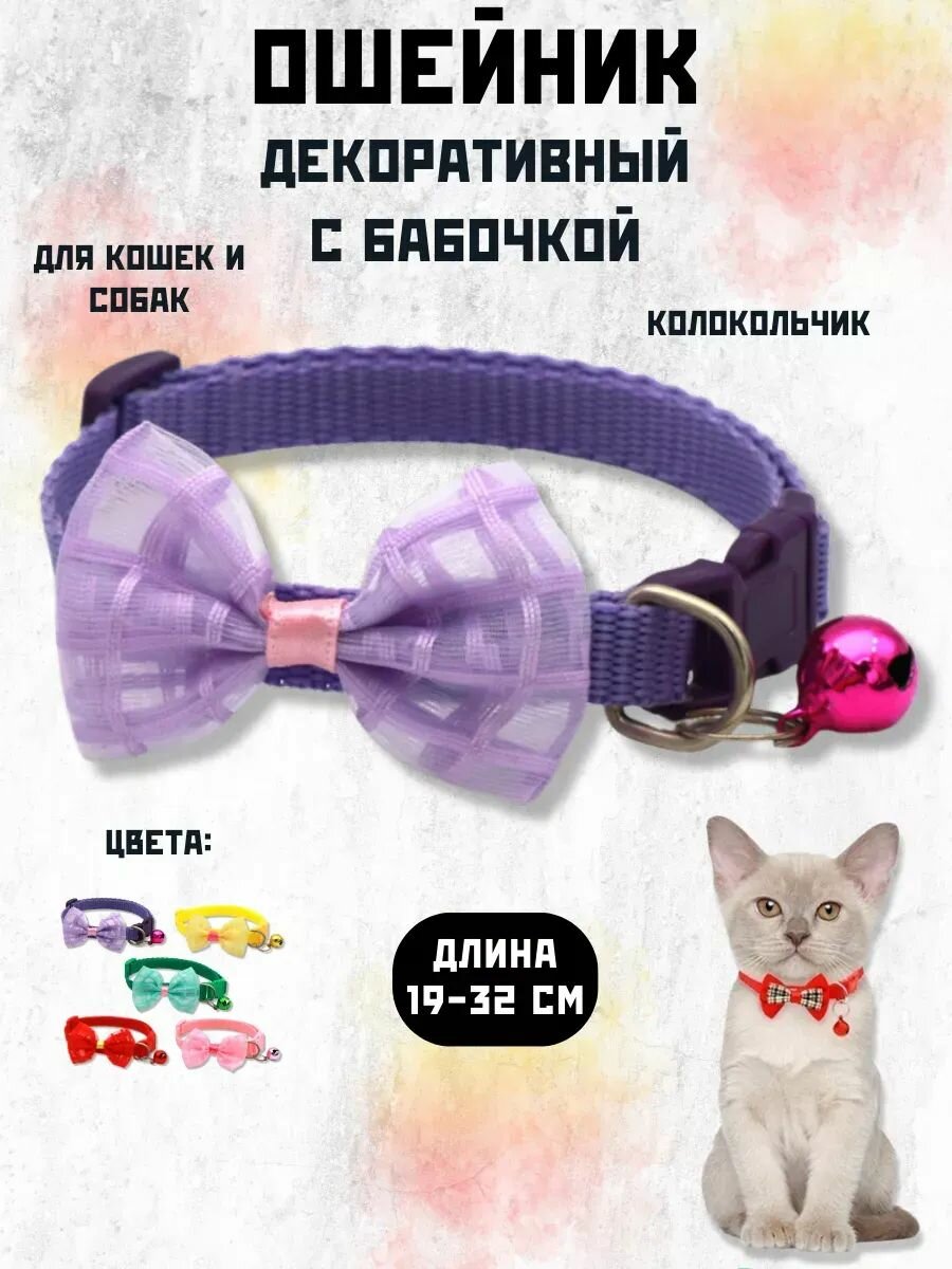 Декоративный ошейник для кошек и собак мелких с бабочкой
