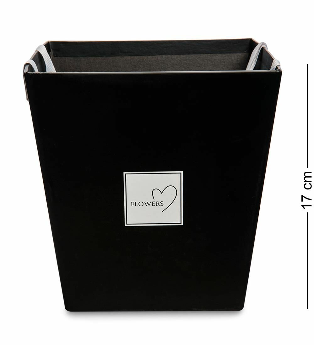 Коробка Конус цв. черный A2167879 разностор