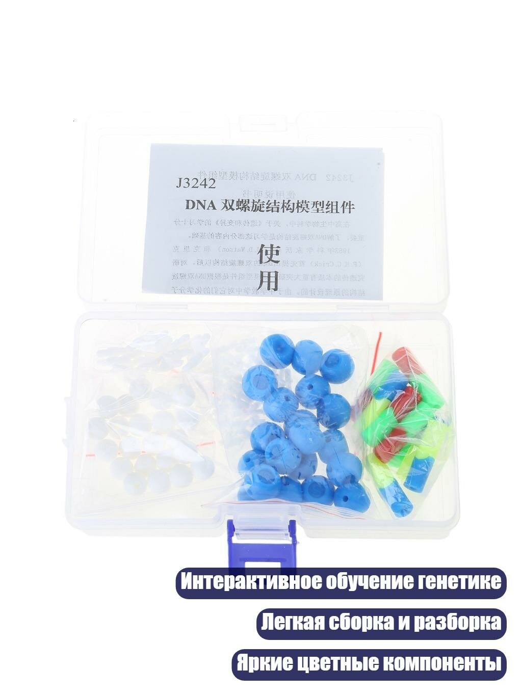 Модель структуры ДНК для изучения органической химии и биологии