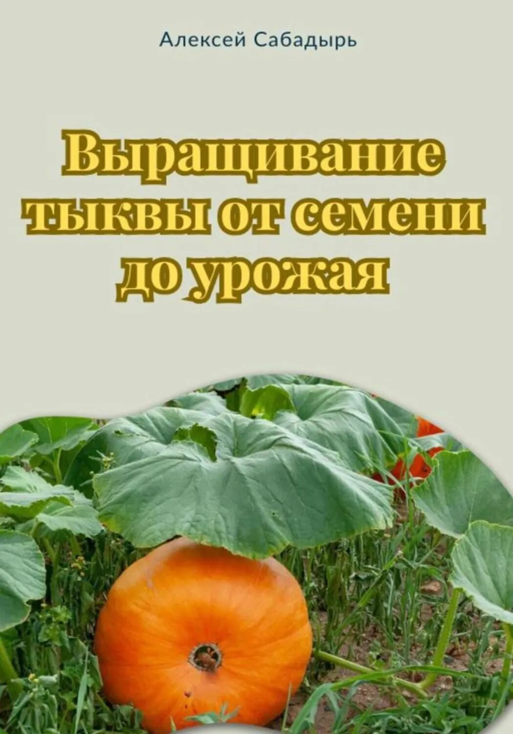 Выращивание тыквы от семени до урожая [Цифровая книга]