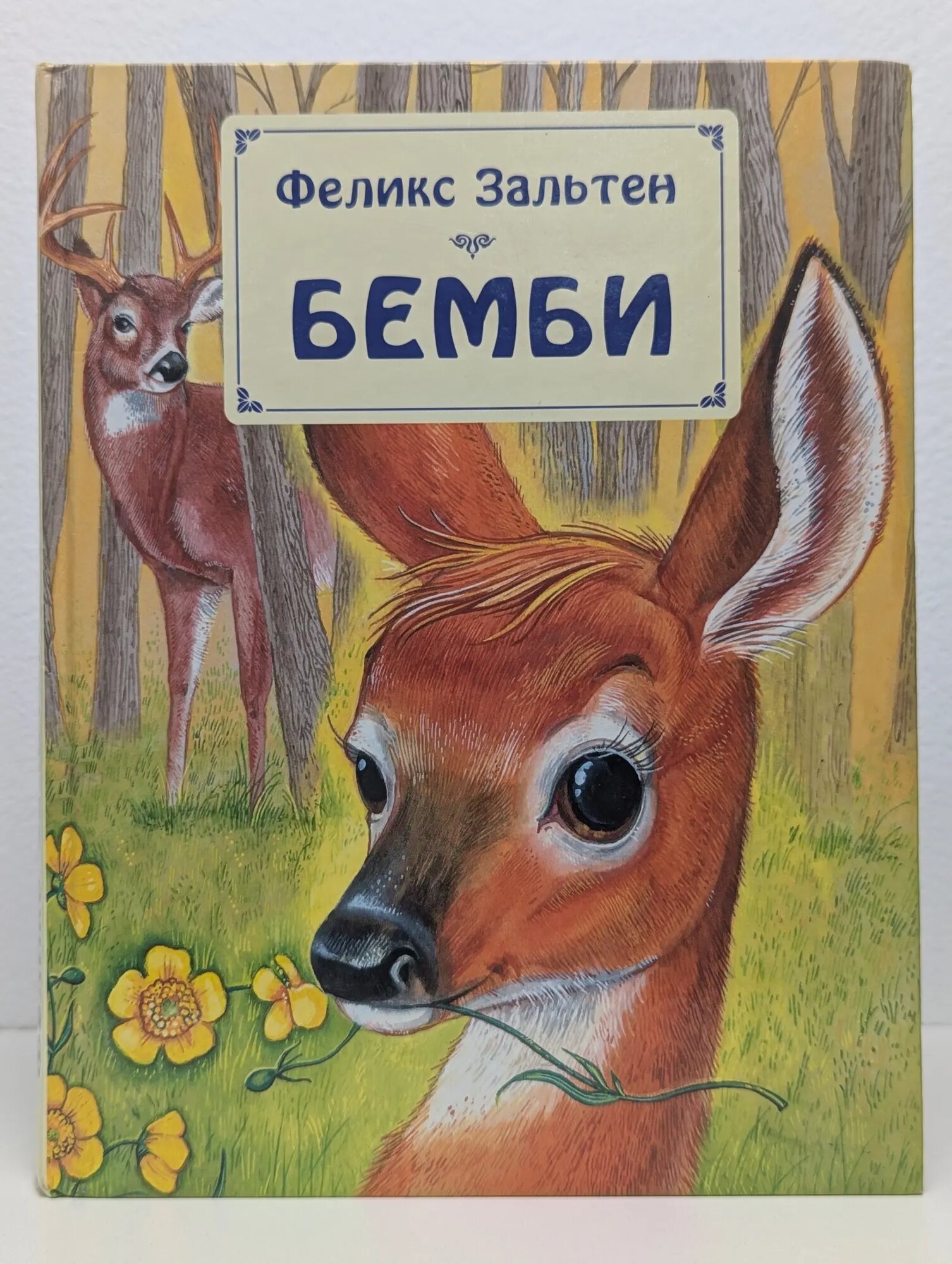 Бемби Зальтен Феликс 2005