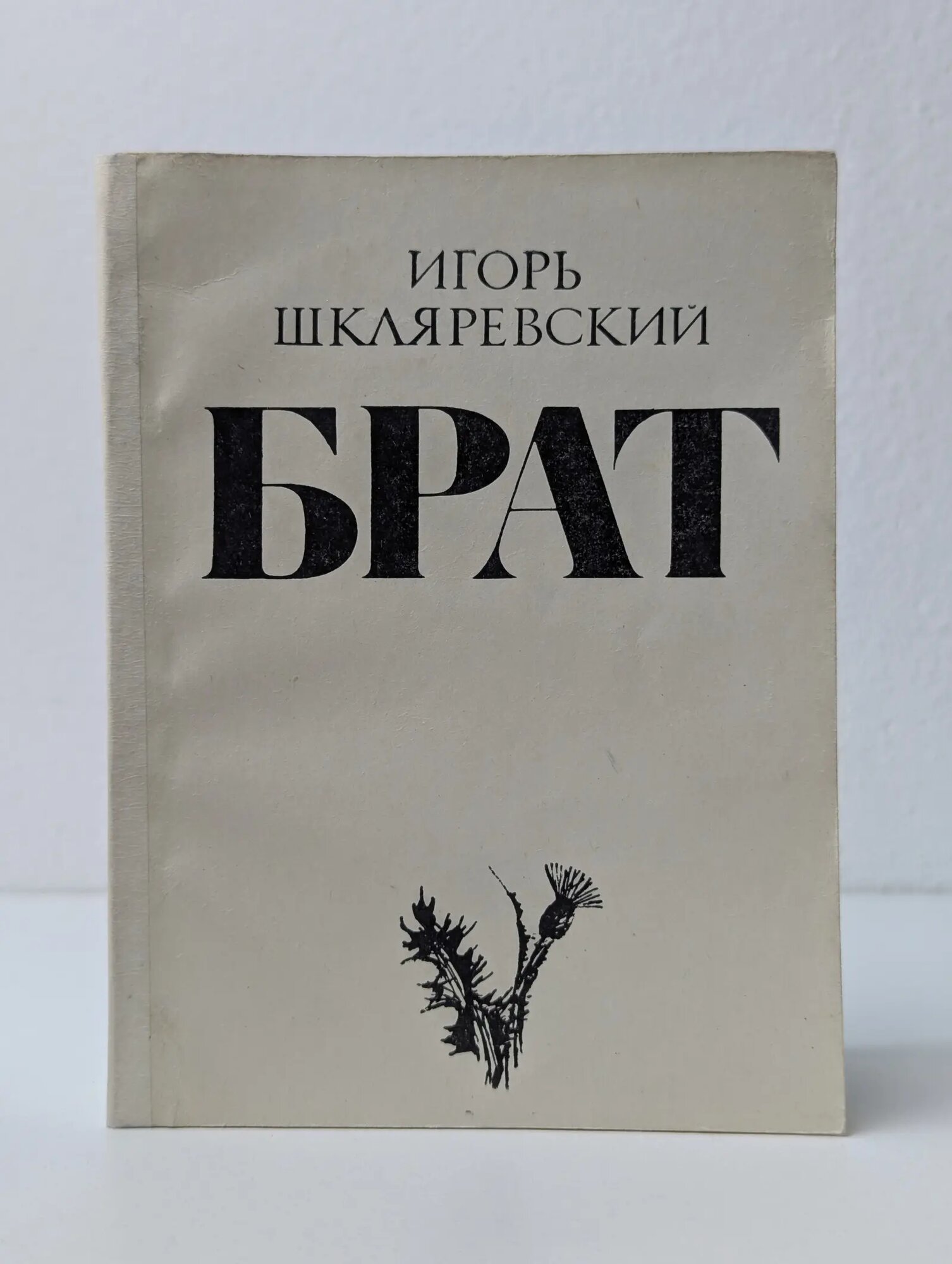 Брат Шклярский Альфред 1982