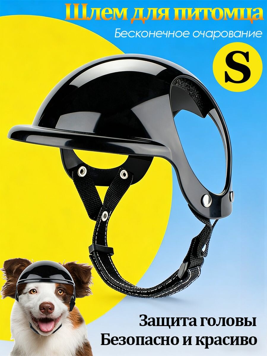 Мотошлем для собак Стильный и защитный аксессуар для вашего питомца