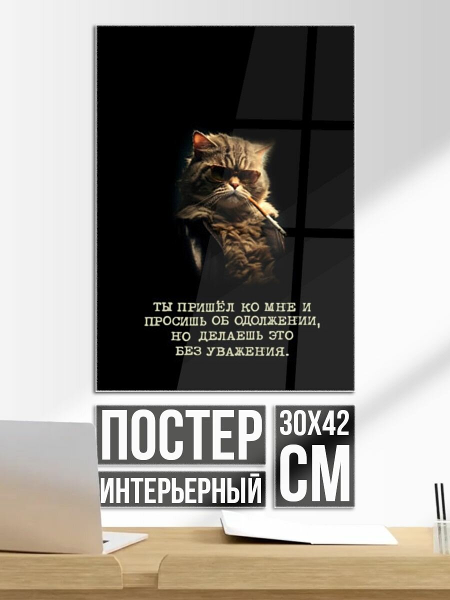 Постер на стену Рыжий кот: ты просишь об одолжении но делаешь без уважения