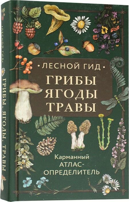 Лесной гид: грибы, ягоды, травы. Карманный атлас-определитель. Эксмо, Москва