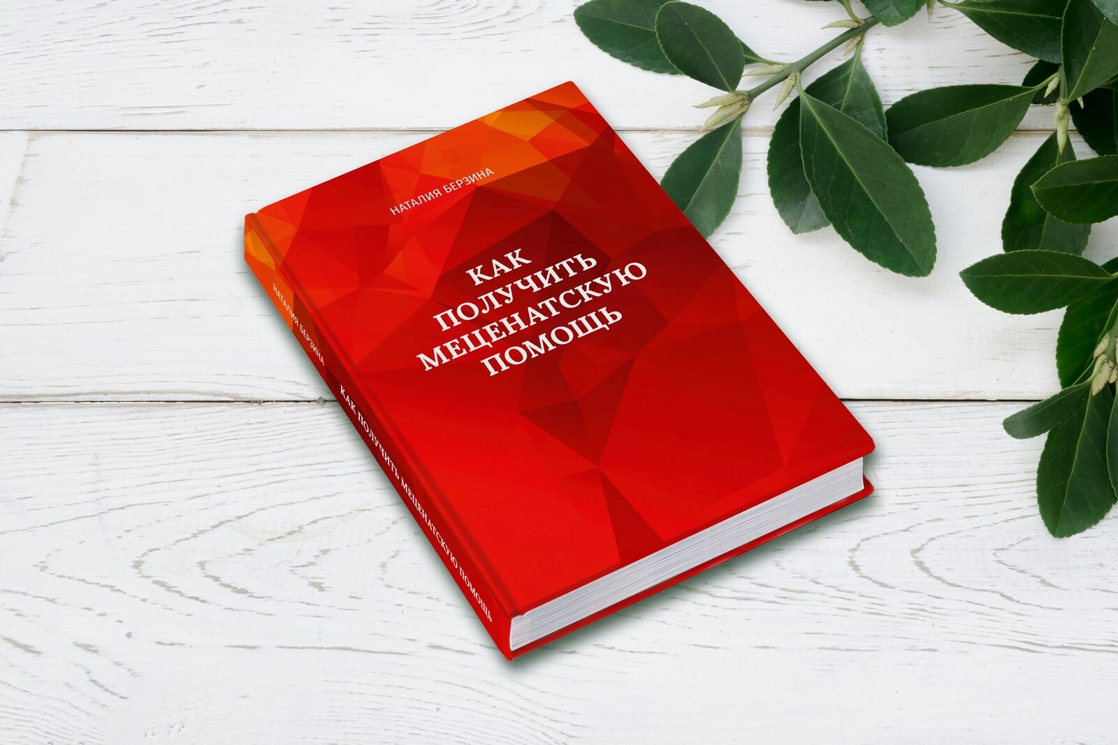 Как получить меценатскую помощь