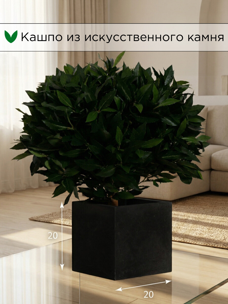 Кашпо / горшок для цветов Evabrick Cube 5 л полимербетон черный