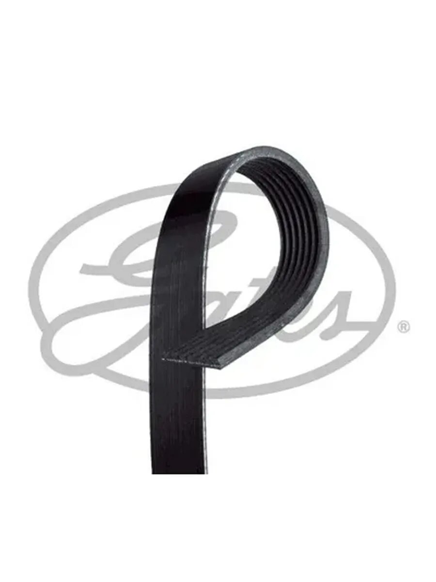 Ремень поликлиновый NISSAN/INFINITI EX/FX II/QX50/QX70 mot.V