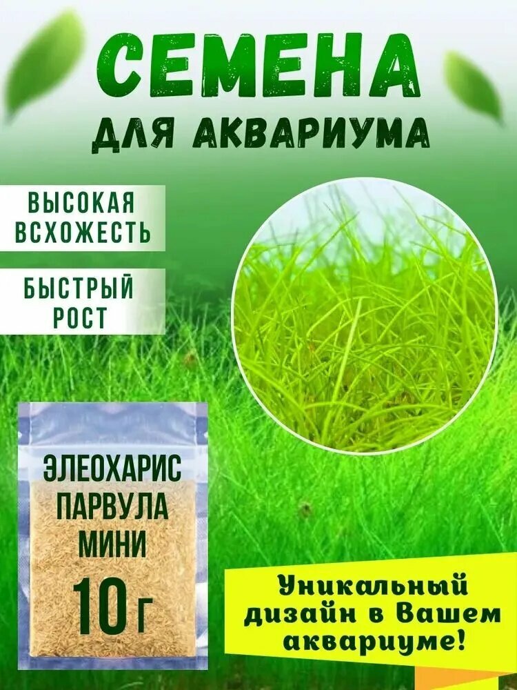 Набор для быстрого озеленения аквариума / Семена водных растений для грунта