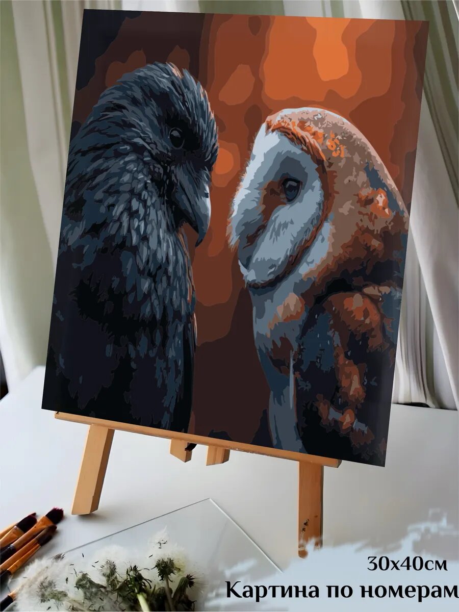 Картина по номерам сова и ворон