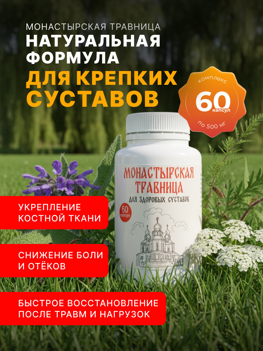 Пищевая добавка на растительной основе Монастырская травница, натуральный состав, 60 капсул