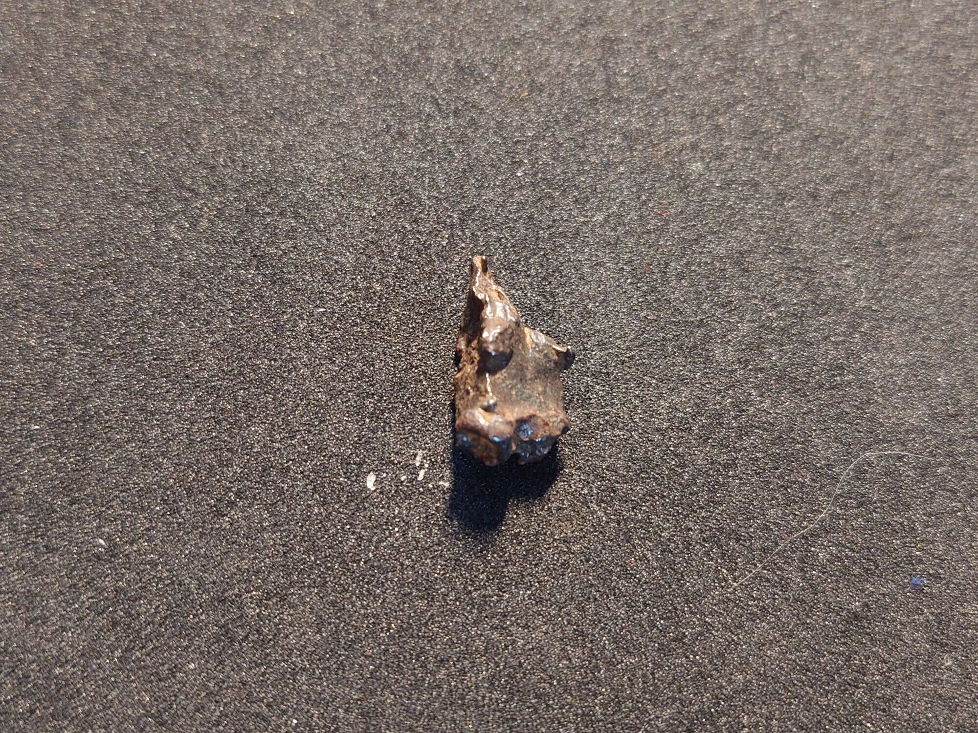 Метеорит Campo del Cielo [2.4 гр.]