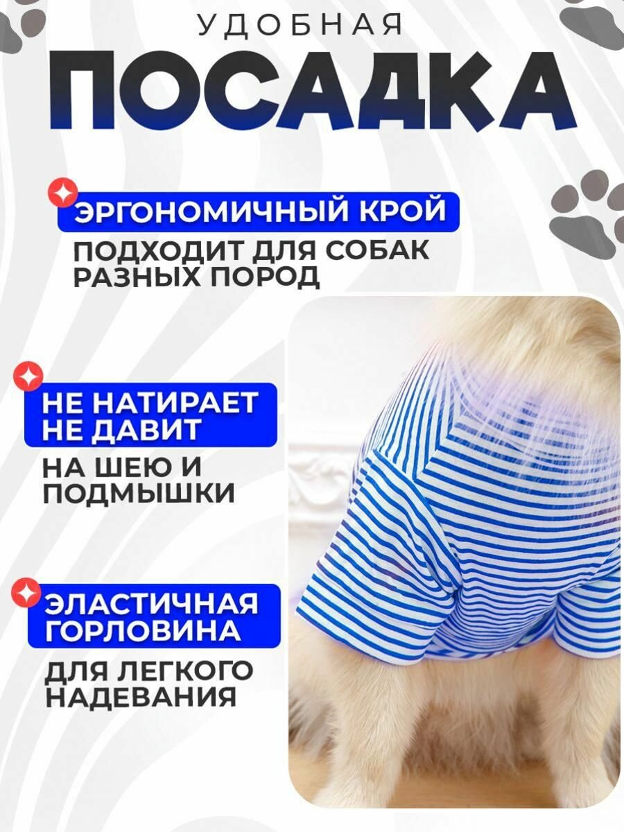 Одежда для животных — фото 1