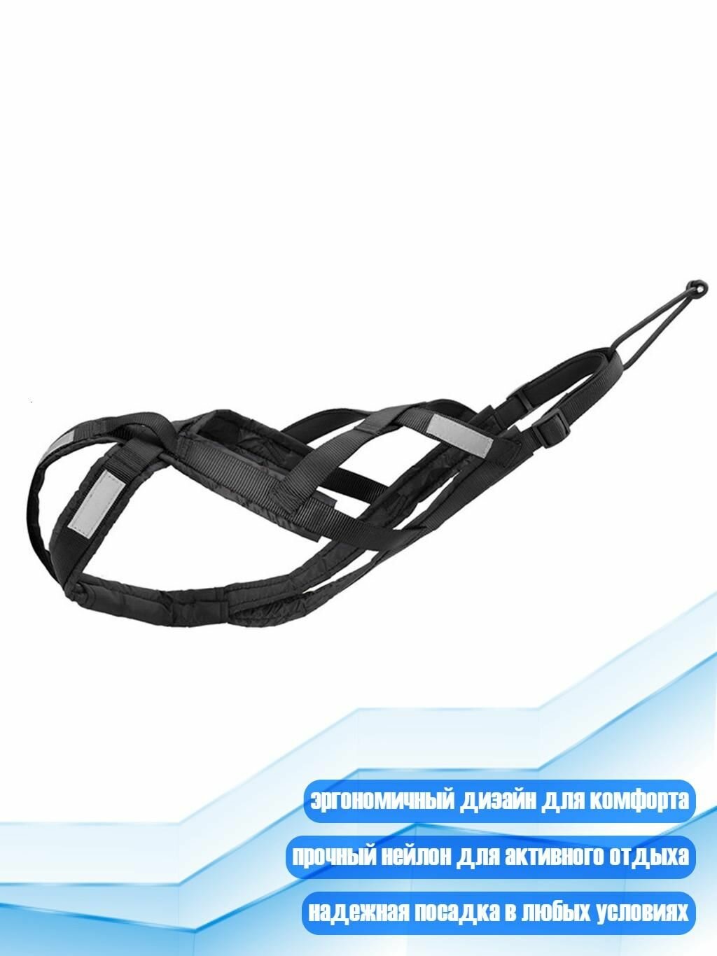Удобная регулируемая шлейка для крупных пород для активного отдыха, Черный - L