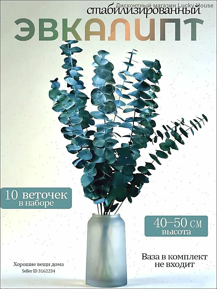 Сухоцветы Эвкалипт, 50 см, 10 шт