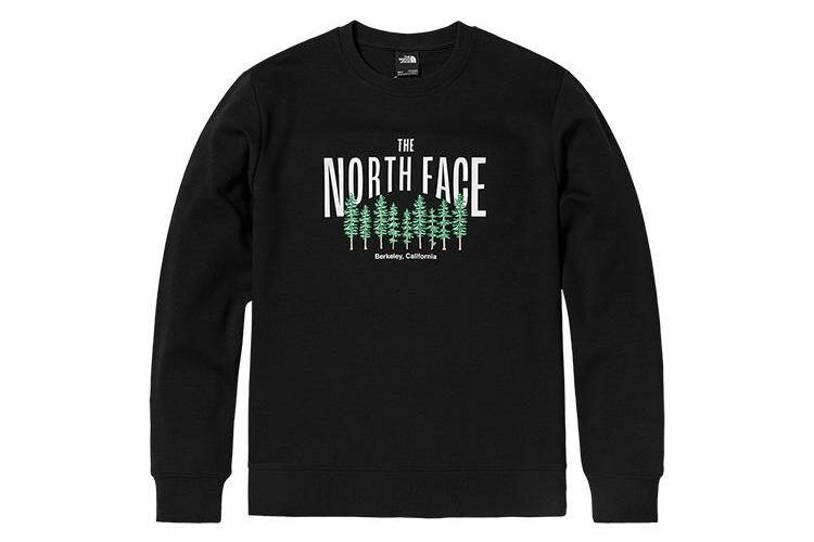 Толстовка THE NORTH FACE 9048461