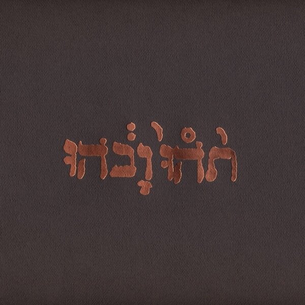 Виниловая пластинка Godspeed You Black Emperor! - Slow Riot For New Zero Kanada E.P.