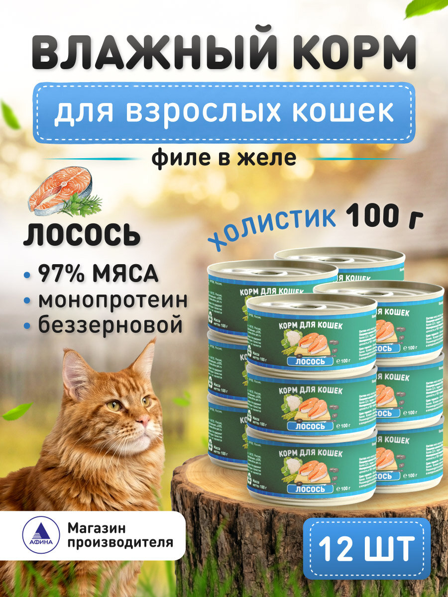 Влажный корм для кошек беззерновой Solid Natura Holistic с лососем, упаковка 12 шт х 100 г