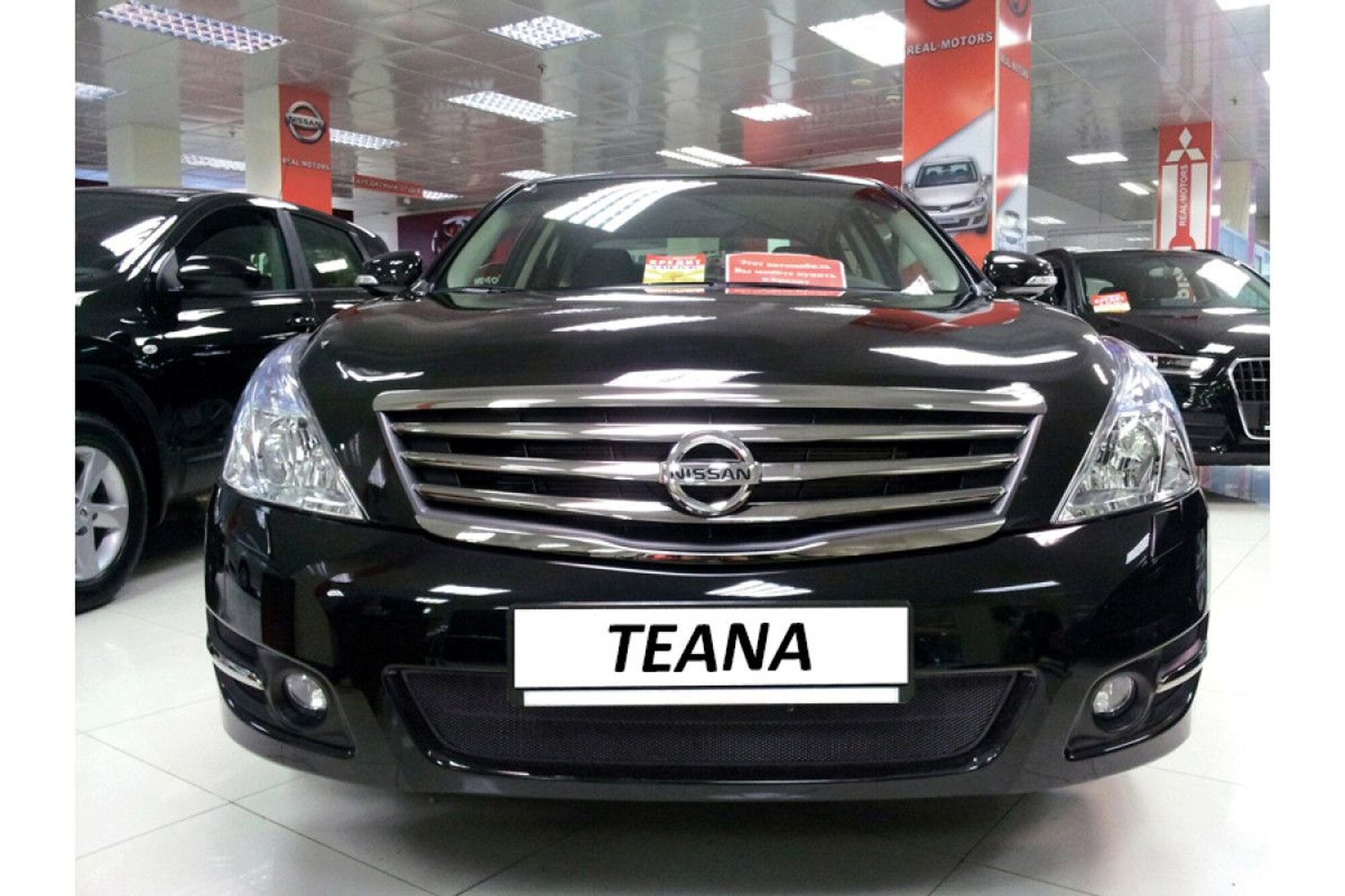 Защитная сетка радиатора с окантовкой и защелками для Nissan Teana 2008-2014 (II)