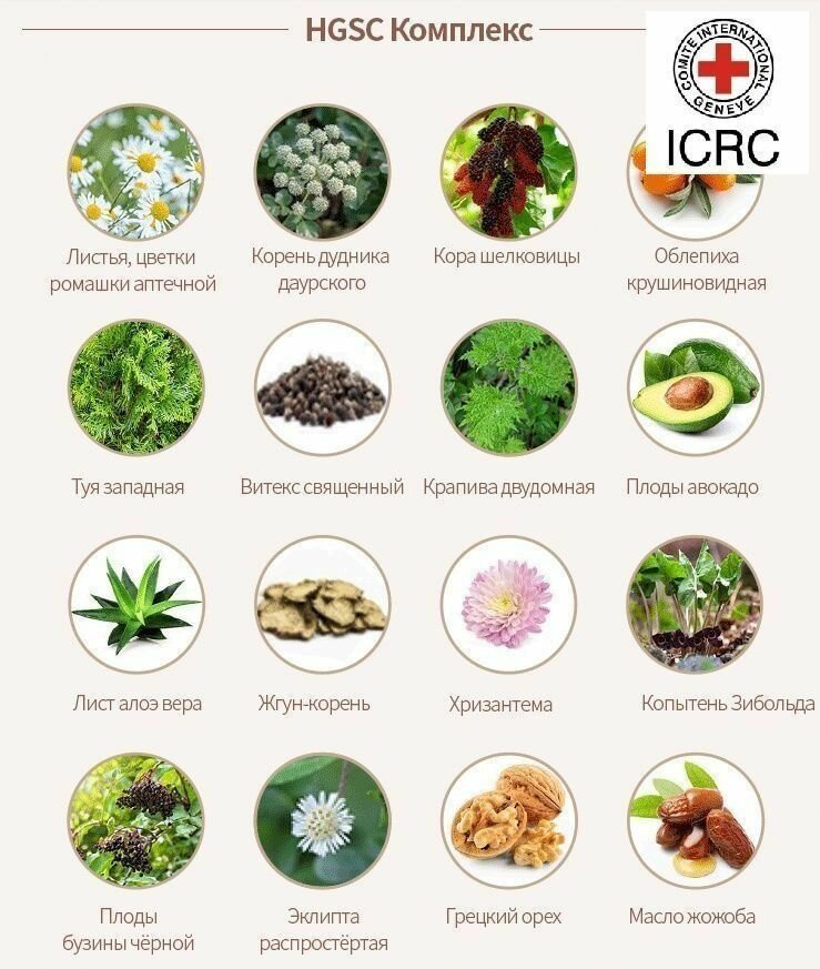 Atomy Herbal Shampoo & Conditioner Set, увлажняющий волосы и кожа головы, 2 продукта (Корея)