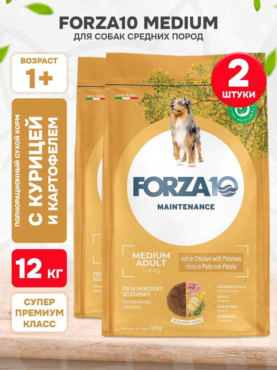 Корм сухой Forza10 Dog Maintenance Adult Medium для взрослых собак средних пород с курицей и картофелем, 12 кг х 2 шт