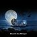 Celest PhoenixCall II Blue-silver, 2DD+2BA+2FPD