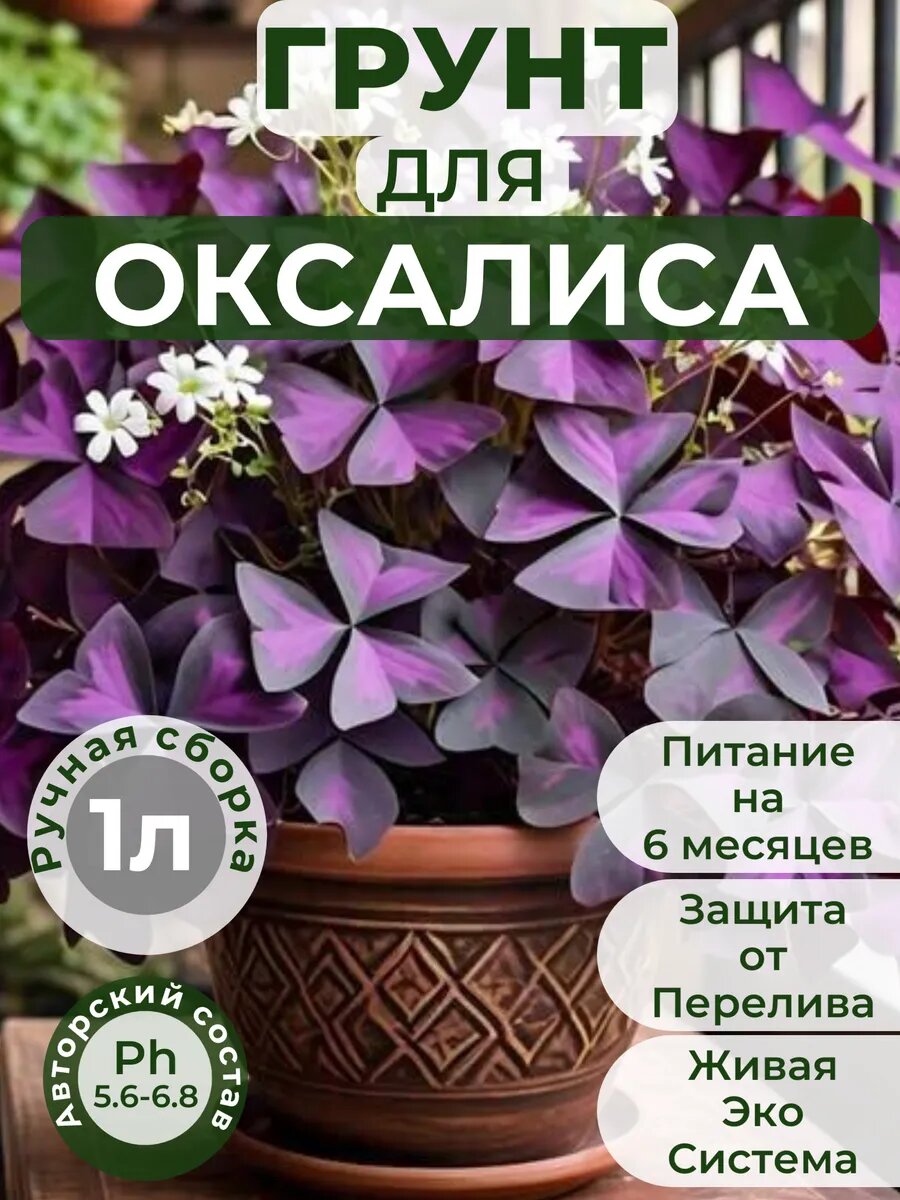 Готовый авторский грунт для Оскалиса (Кислицы), премиум 1 л