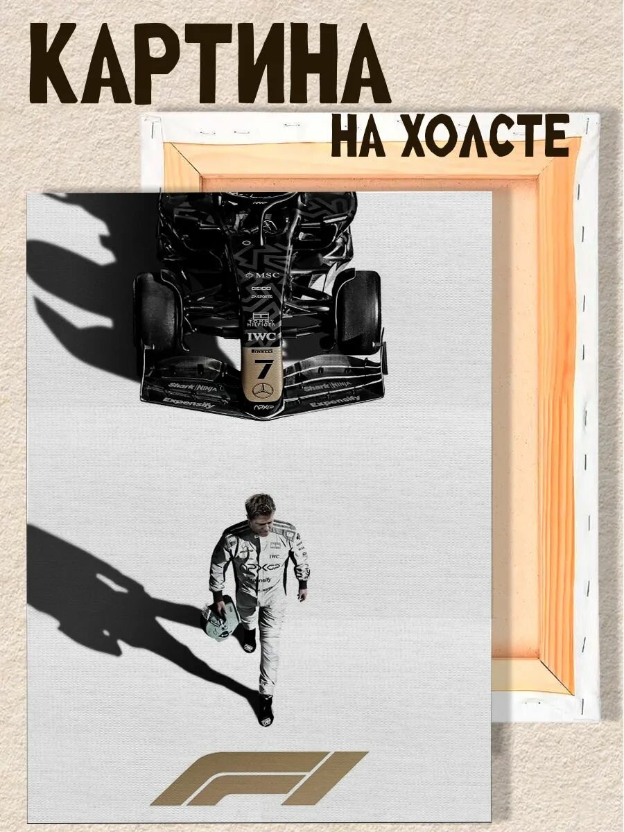 Картина стену Формула 1, на подрамнике, 1шт, 38х25 размер.