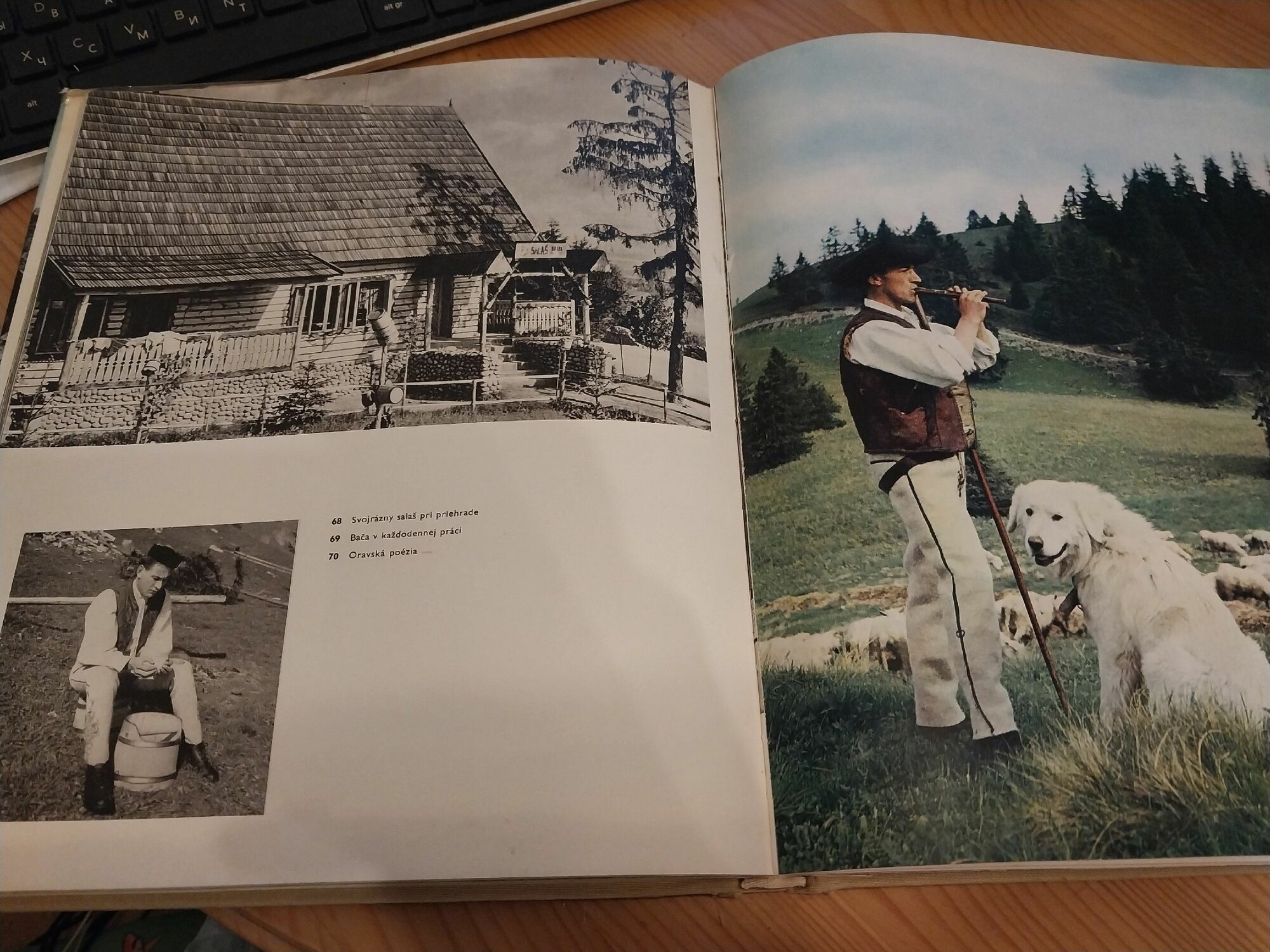 Streone slovensko книга — фото 1