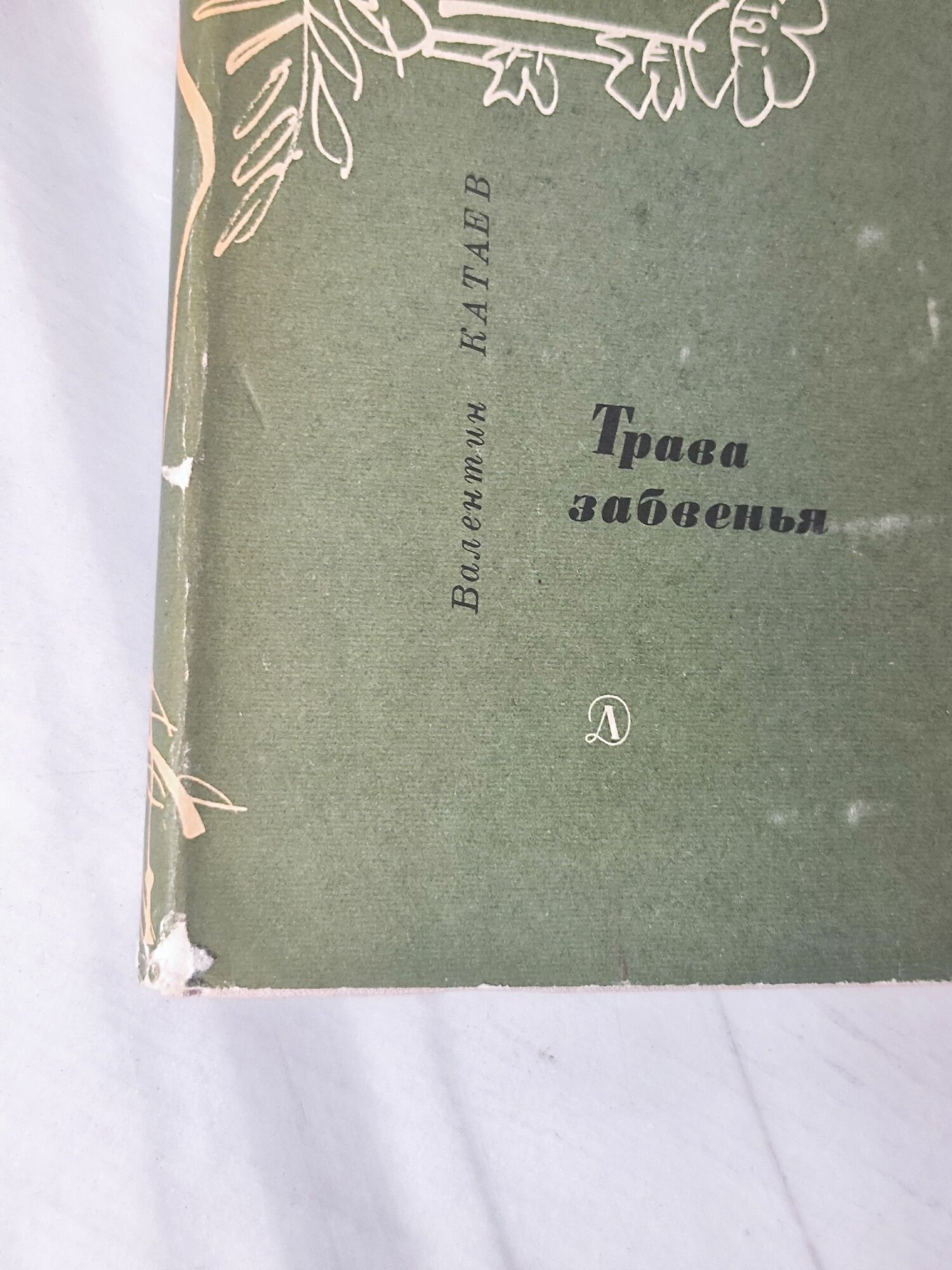 Трава забвенья — фото 1