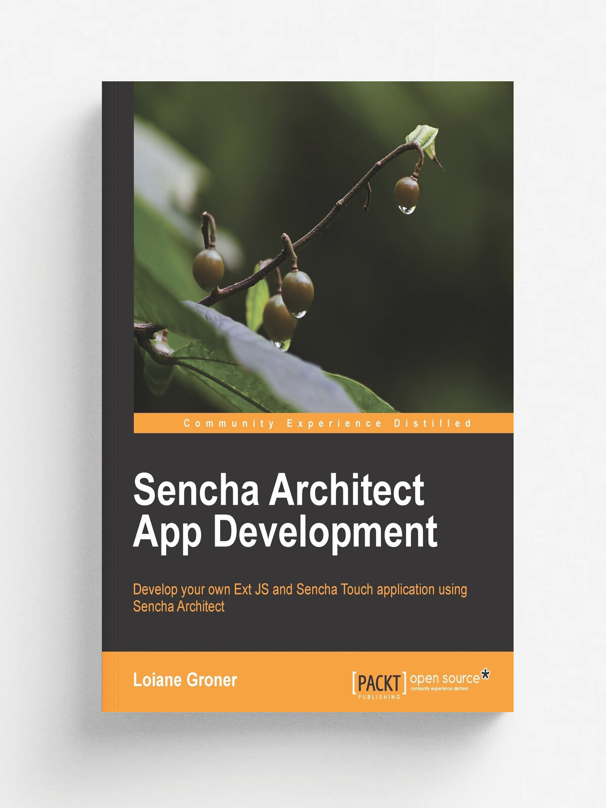 Sencha Architect App Development