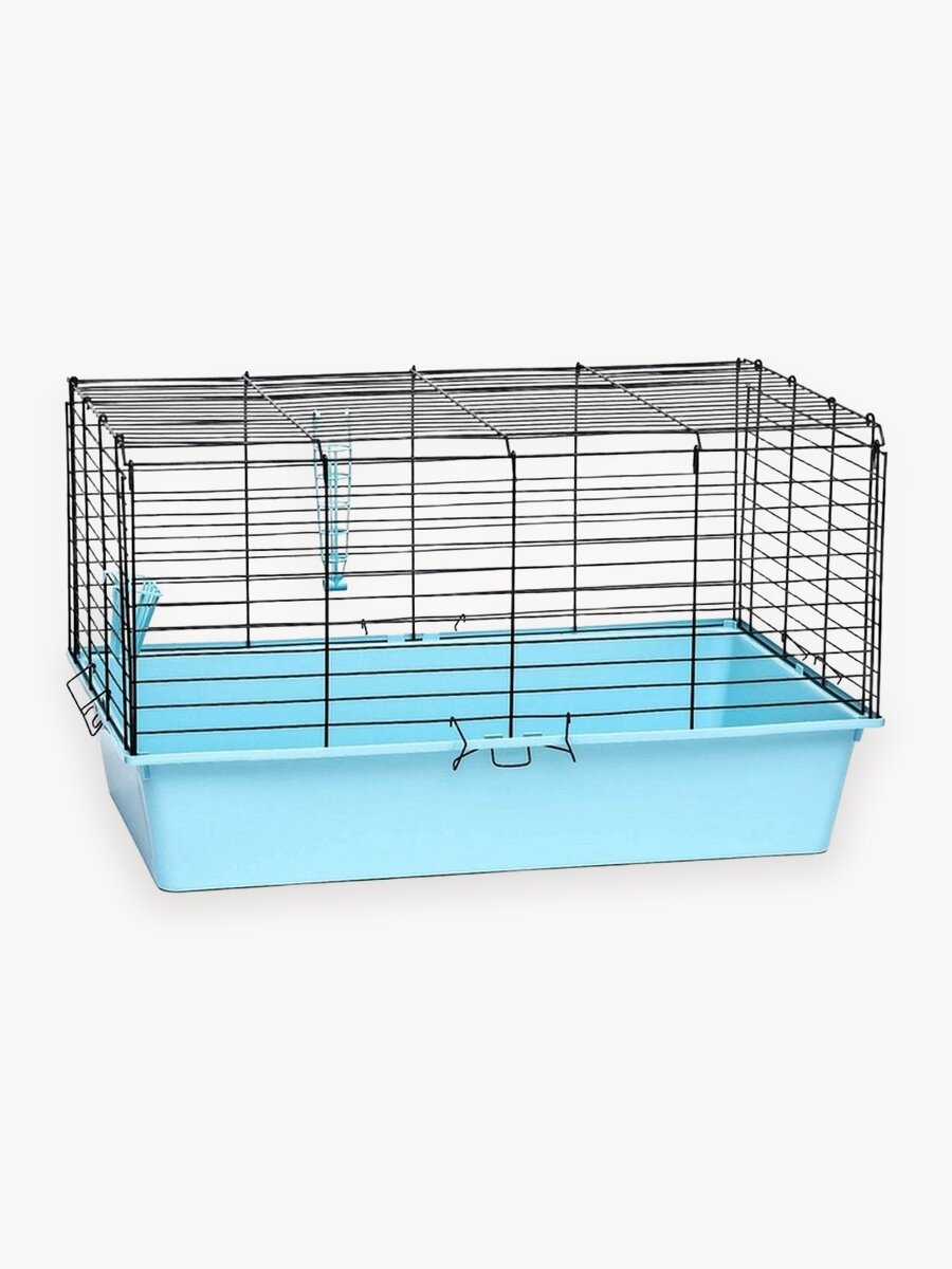 Клетка для кроликов, морских свинок "Пижон" №4 складная , 80 х 50 х 47 см, бирюзовая