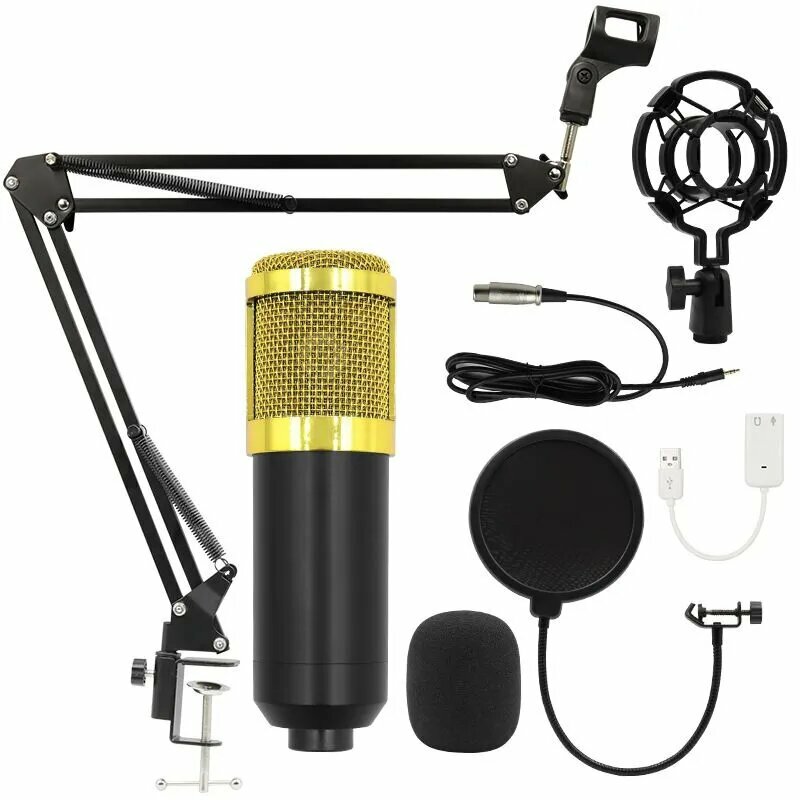 Aiseely Микрофон CE17360