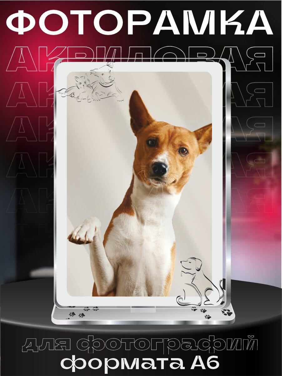 Акриловая фоторамка / Рамка для фото 16х11 Собака и кошка