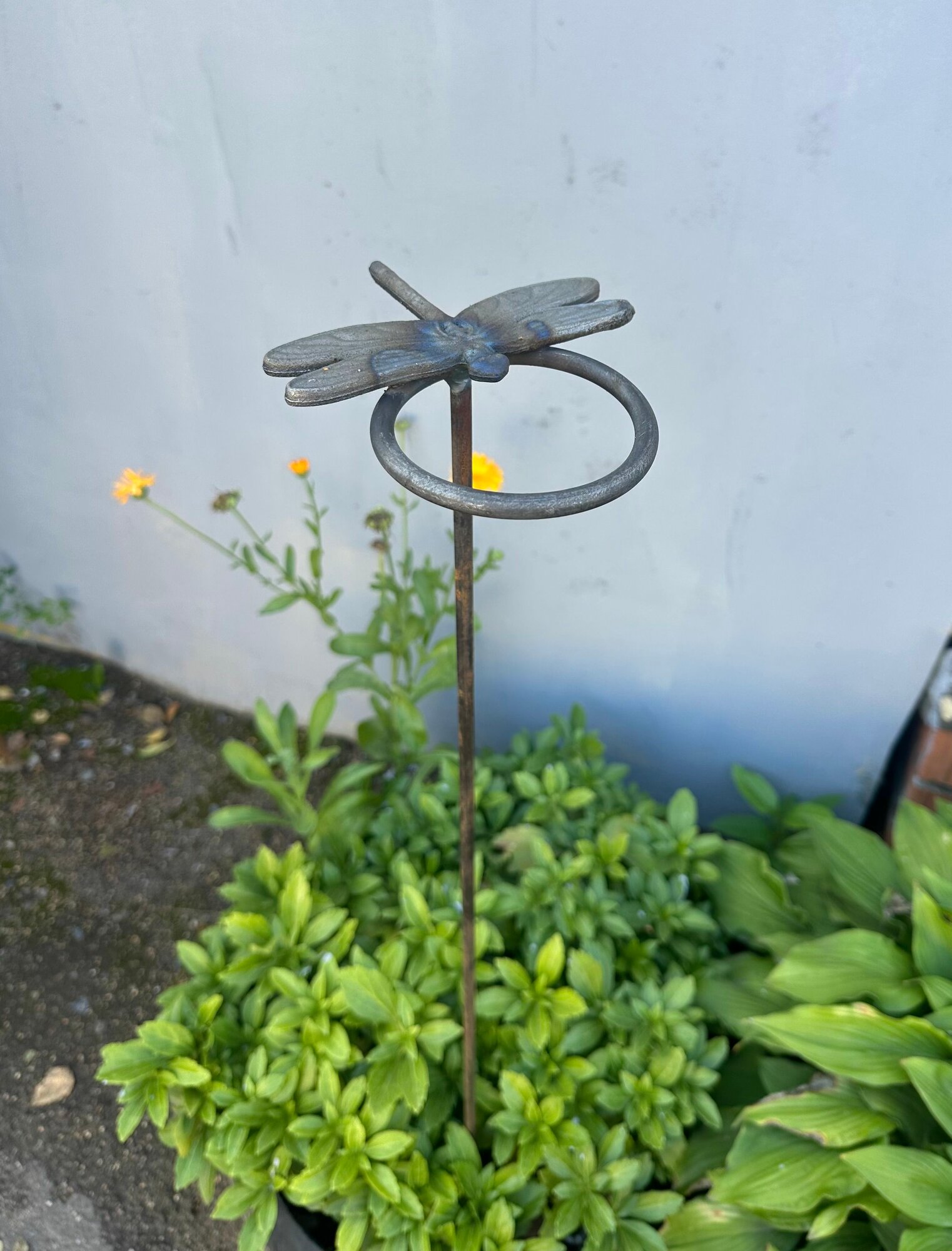 Опора для цветов и растений с кольцом без покраски высота 90см кольцо 9см