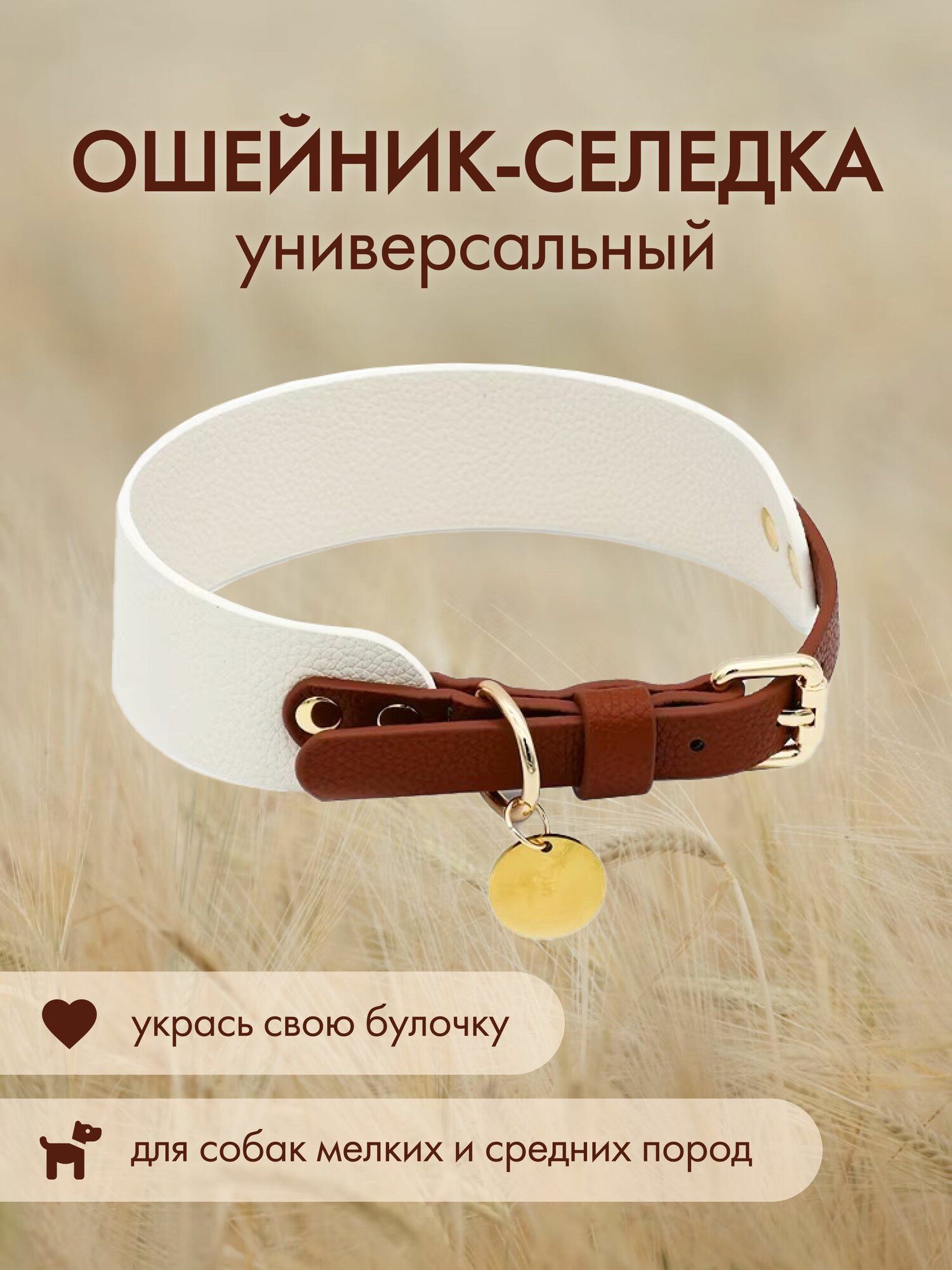 Ошейник